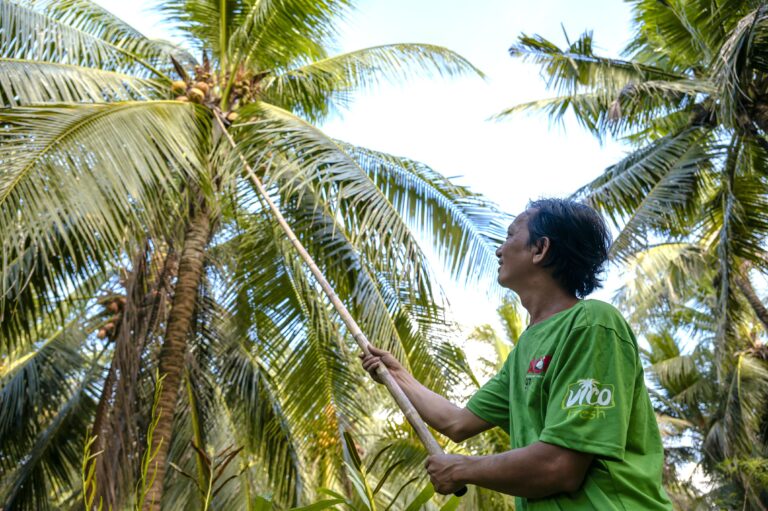 Asia Ingredients Group - AIG